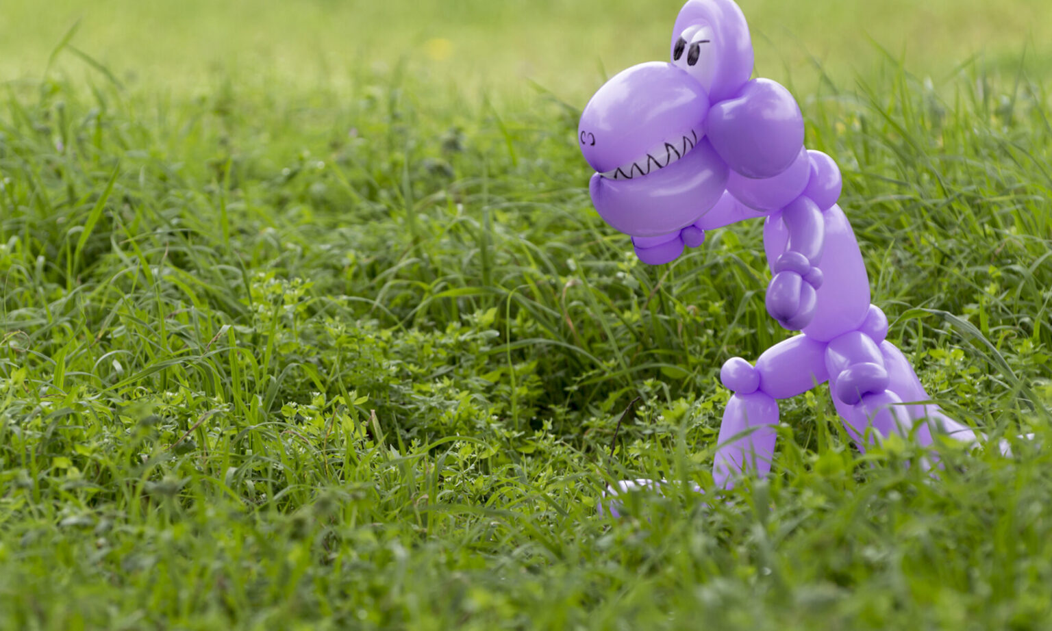 Stretch and Company - Balloons, photography, face painting